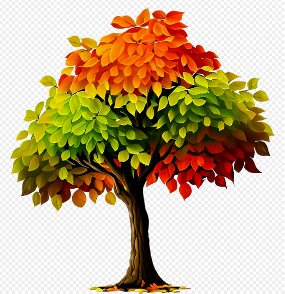 [동심 속으로] 나무는 패션니스타 - 이슬찬 학생